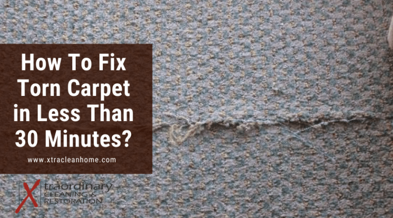 How To Fix Torn Carpet in Less Than 30 Minutes? | Temecula CA