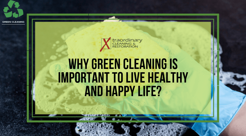 Why green cleaning is important | Xtraordinary Carpet Cleaning