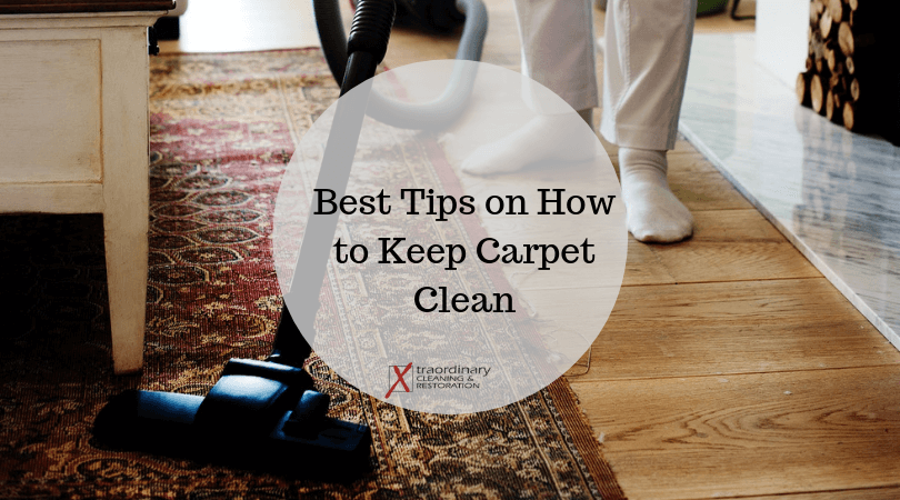 Best Tips On How to Keep Carpet Clean | Xtraordinary Carpet Care